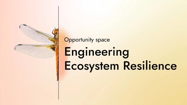 Engineering Ecosystem Resilience
