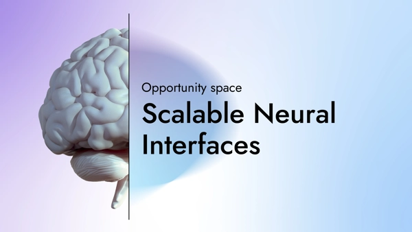 Scalable Neural Interfaces