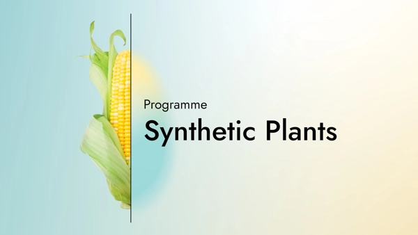 Meet the Creators | Synthetic Plants